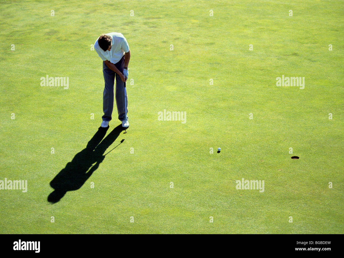 Golfer putting on the green Stock Photo - Alamy