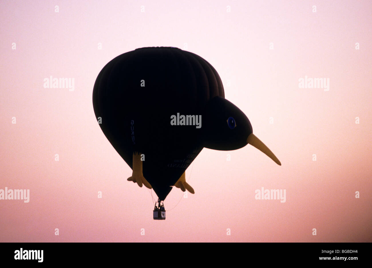 Crow shaped hot air balloon in flight Stock Photo - Alamy