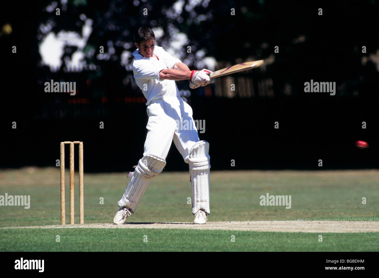 Cricketer bats the ball Stock Photo - Alamy
