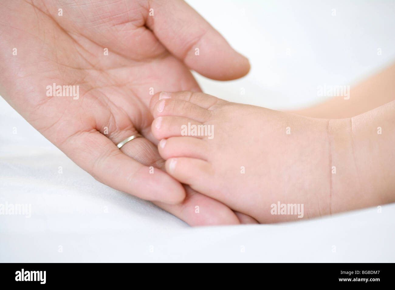 Hand holding infant foot Stock Photo - Alamy