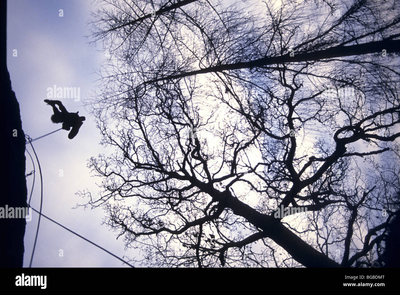 Man abseiling a rock face by trees Stock Photo - Alamy