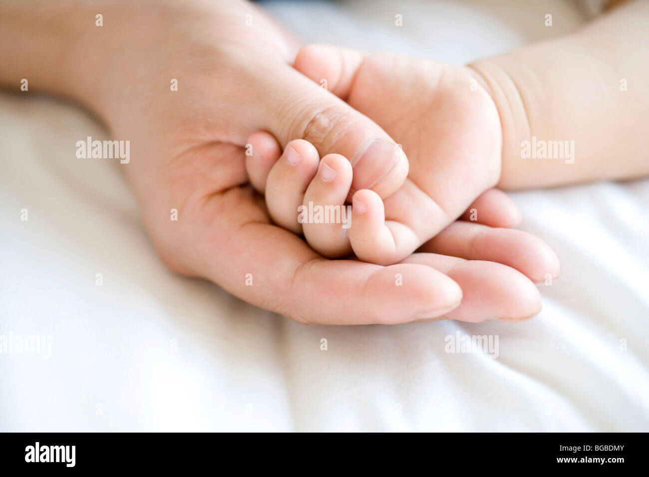 Hand holding infant hand Stock Photo - Alamy