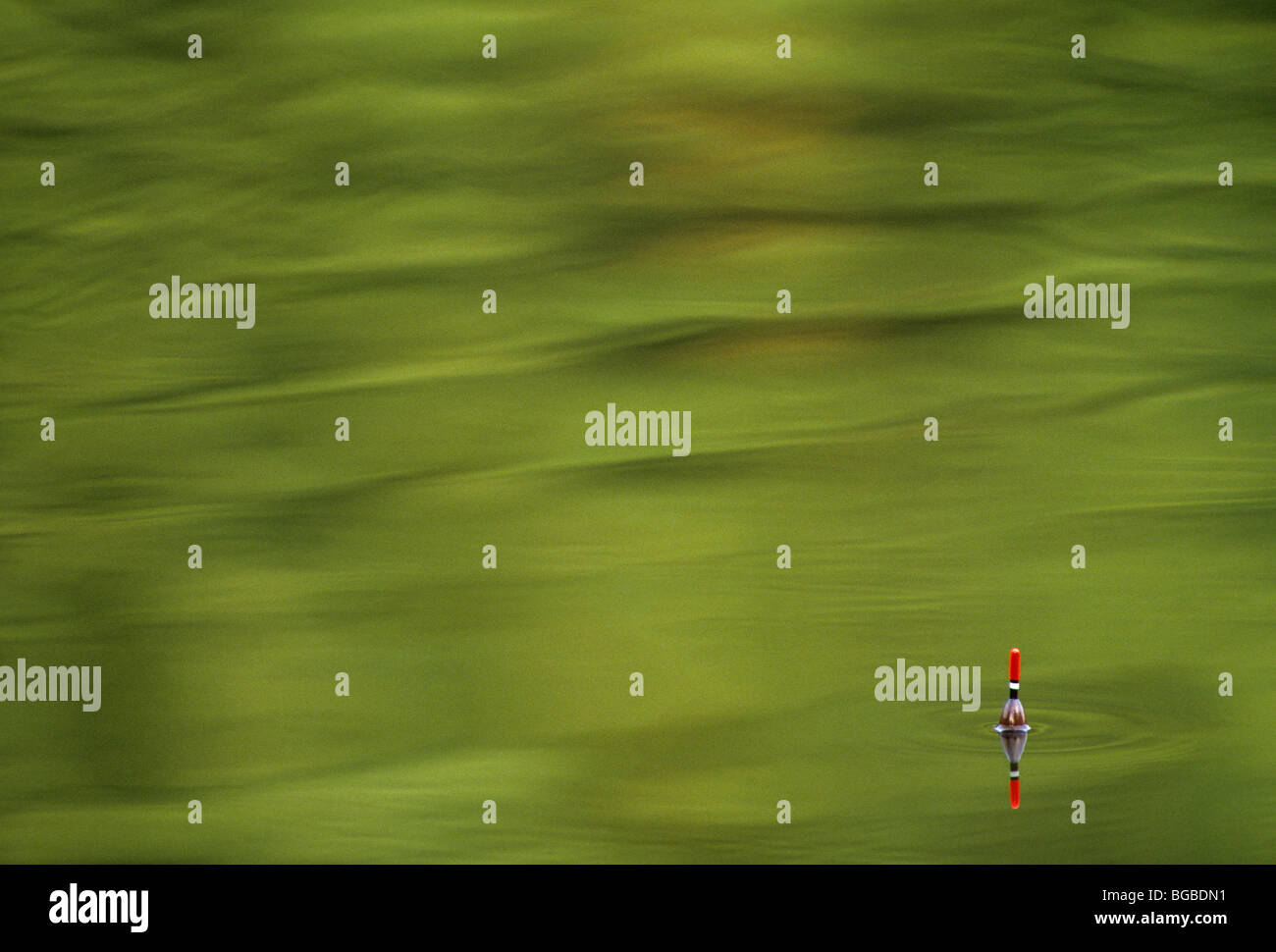 Stick float bobbing in the water Stock Photo - Alamy