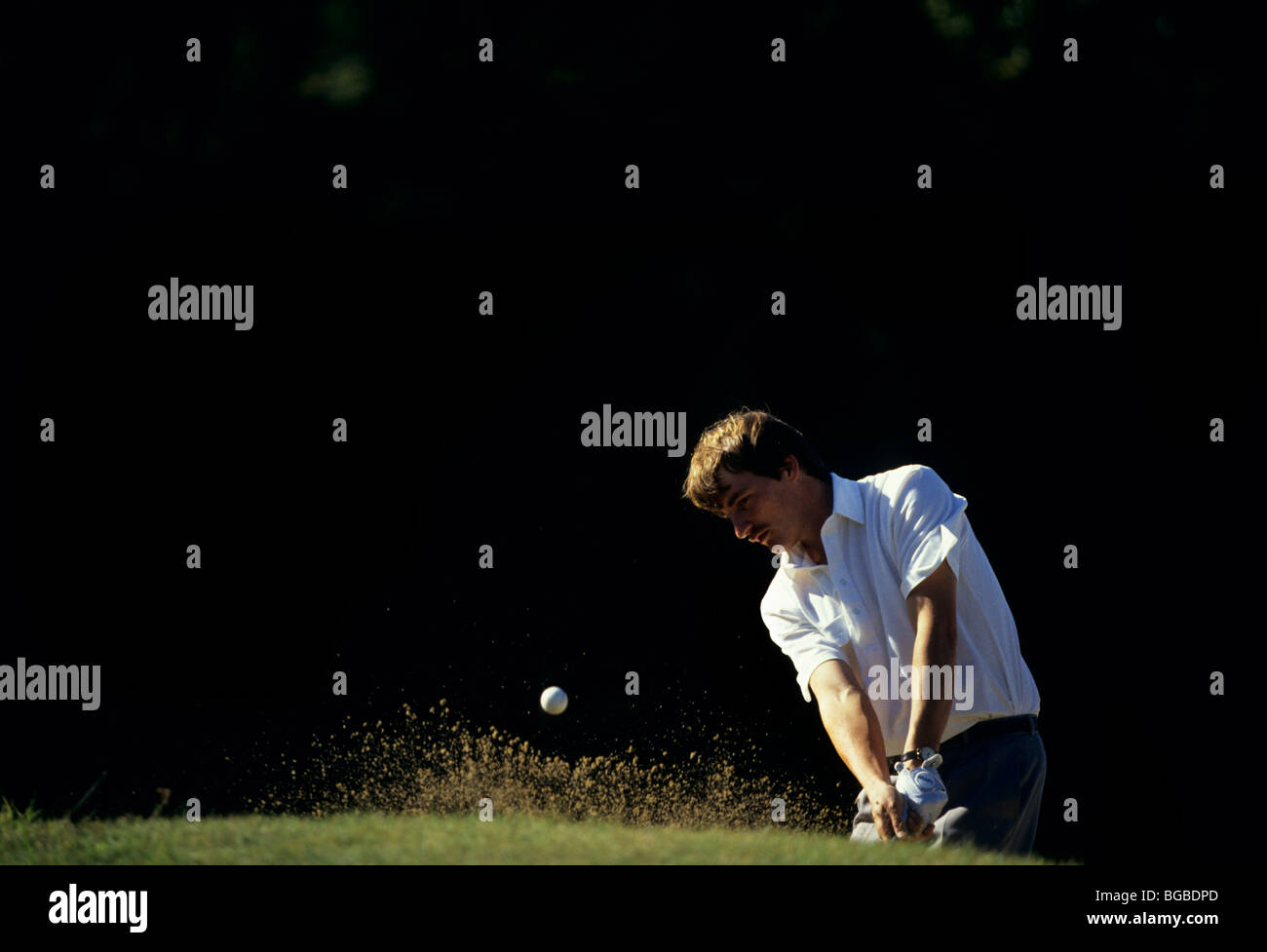 Golfer chips the ball out of the bunker Stock Photo - Alamy