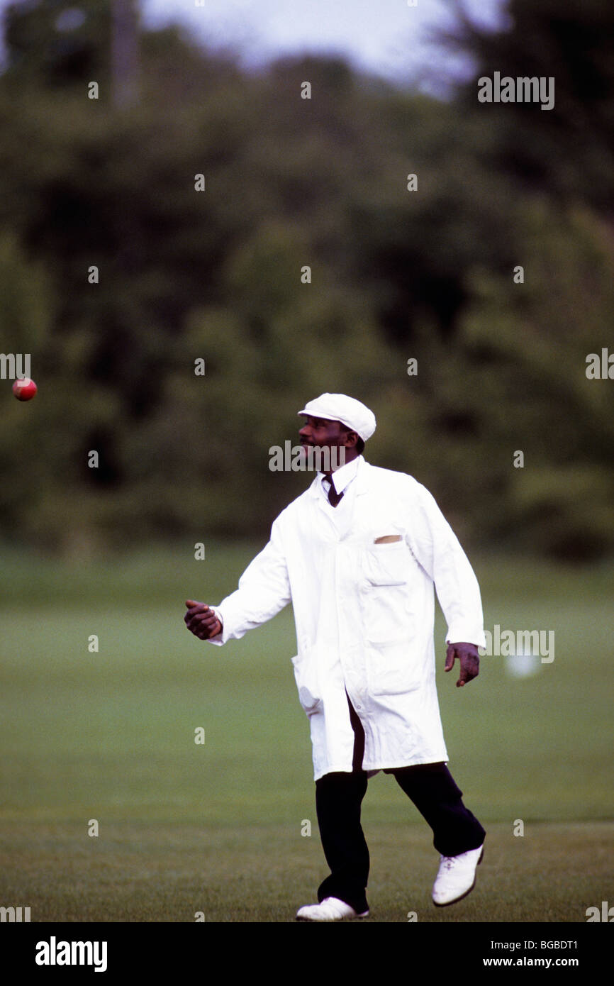 Cricket umpire throws a ball Stock Photo - Alamy