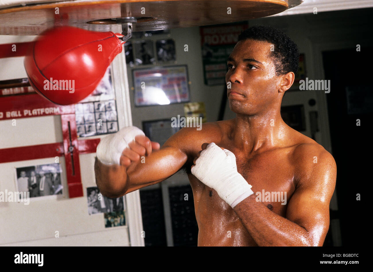 Boxer working out with a speed bag in a gym Stock Photo - Alamy