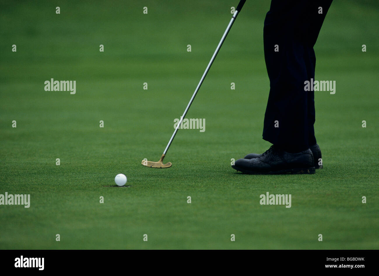 Golfer putting a ball Stock Photo - Alamy