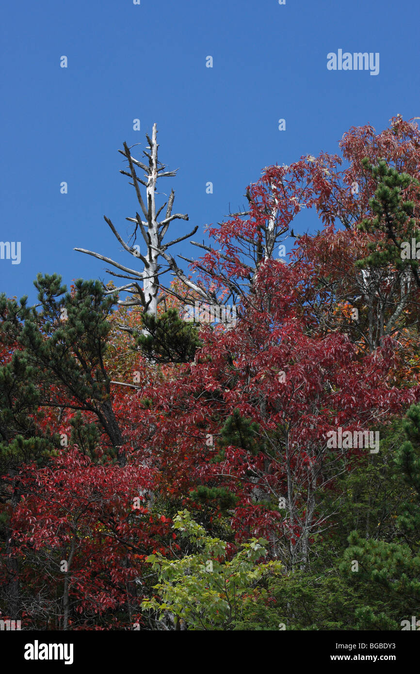 Colors hi res hi-res stock photography and images - Alamy