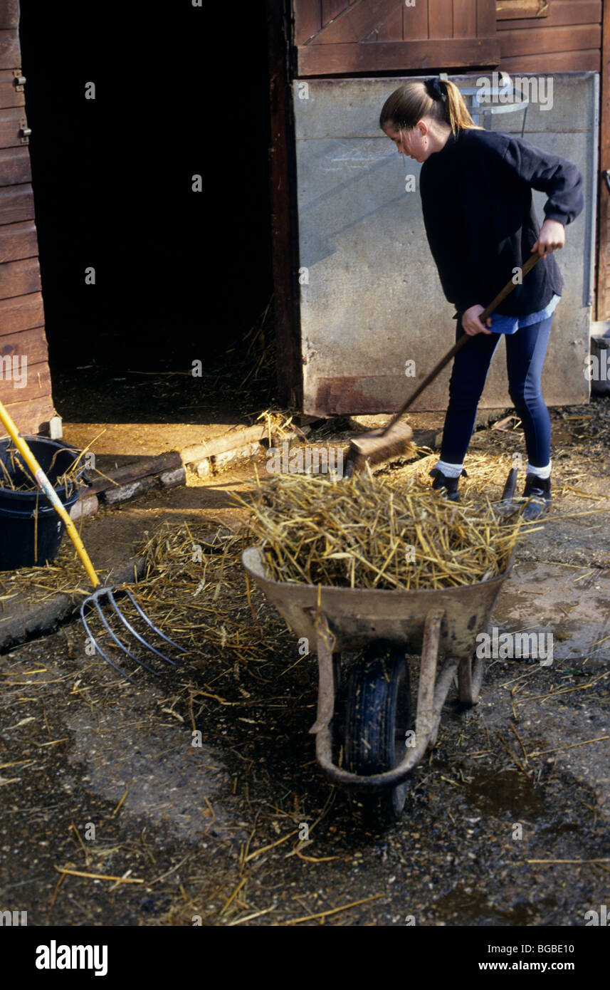 Girl sweeping horse hi-res stock photography and images - Alamy