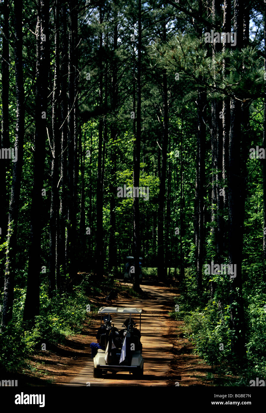 Driving a golf cart along tree lined path Stock Photo - Alamy