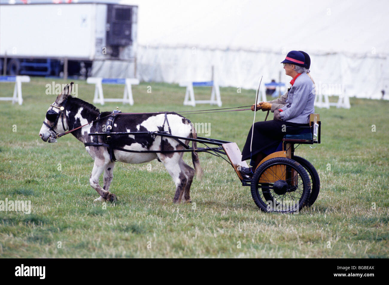 Double horse carriage hi-res stock photography and images - Alamy