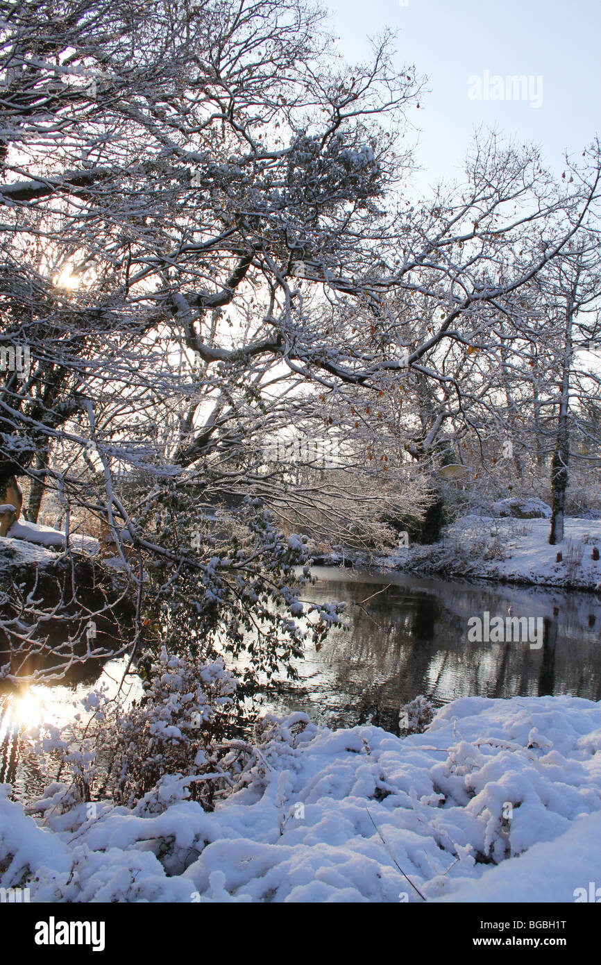 Covered with icy hi-res stock photography and images - Alamy