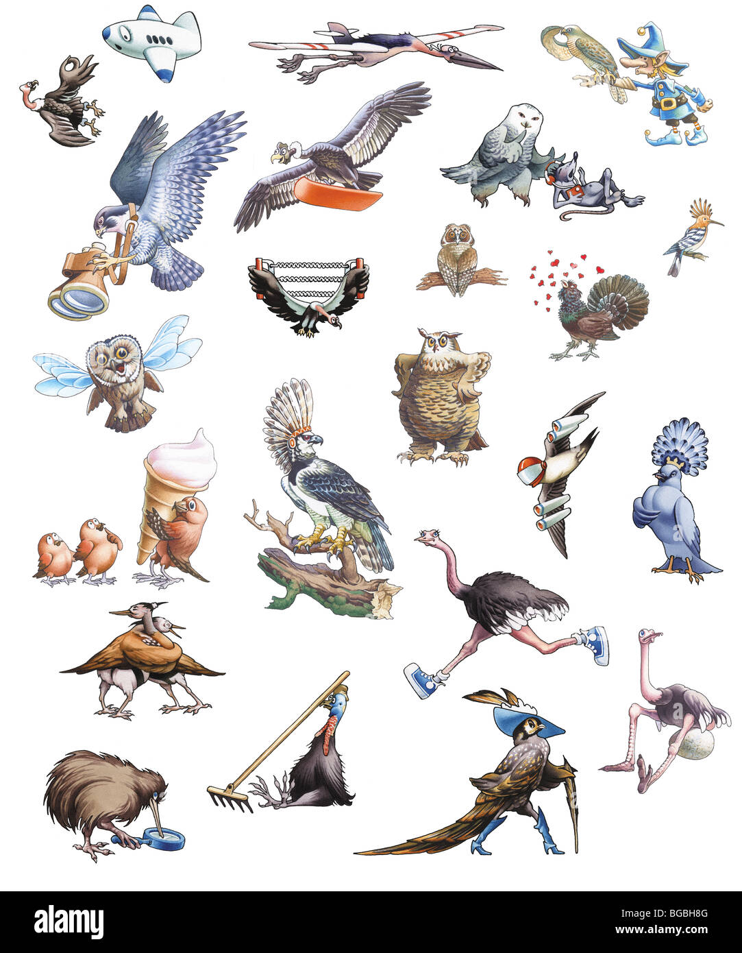 Amazon birds jungle Cut Out Stock Images & Pictures - Alamy