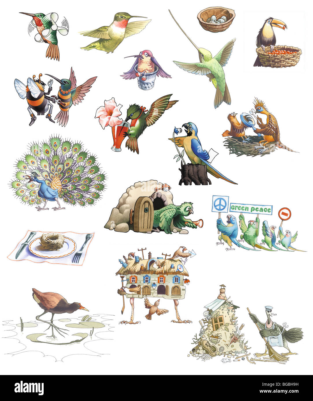 Zoo animal cartoons hi-res stock photography and images - Alamy