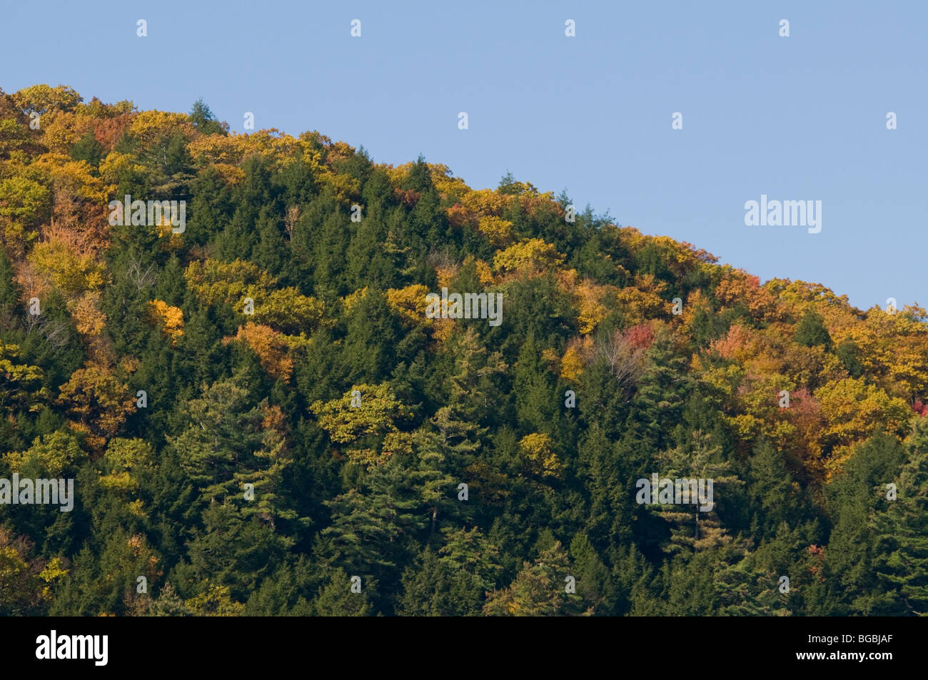 Fall Colours,Color,Autumn Color,Seasonal,The Berkshires,Massachusetts ...