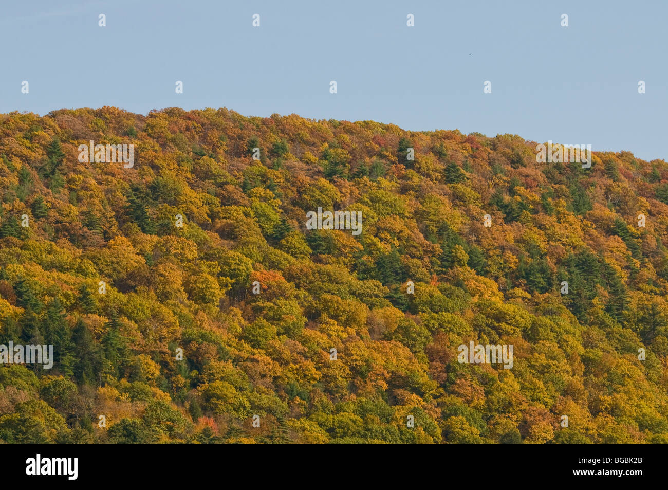 Fall Colours,Color,Autumn Color,Seasonal,The Berkshires,Massachusetts ...