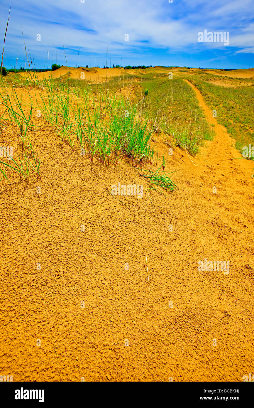 Spirit Sands trail, Spruce Woods Provincial Park, Manitoba, Canada ...