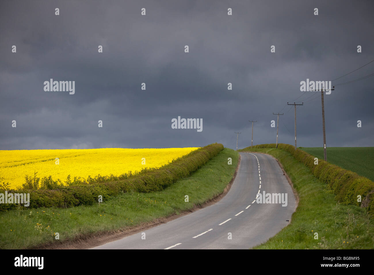 Rural road; North Yorkshire, England Stock Photo - Alamy