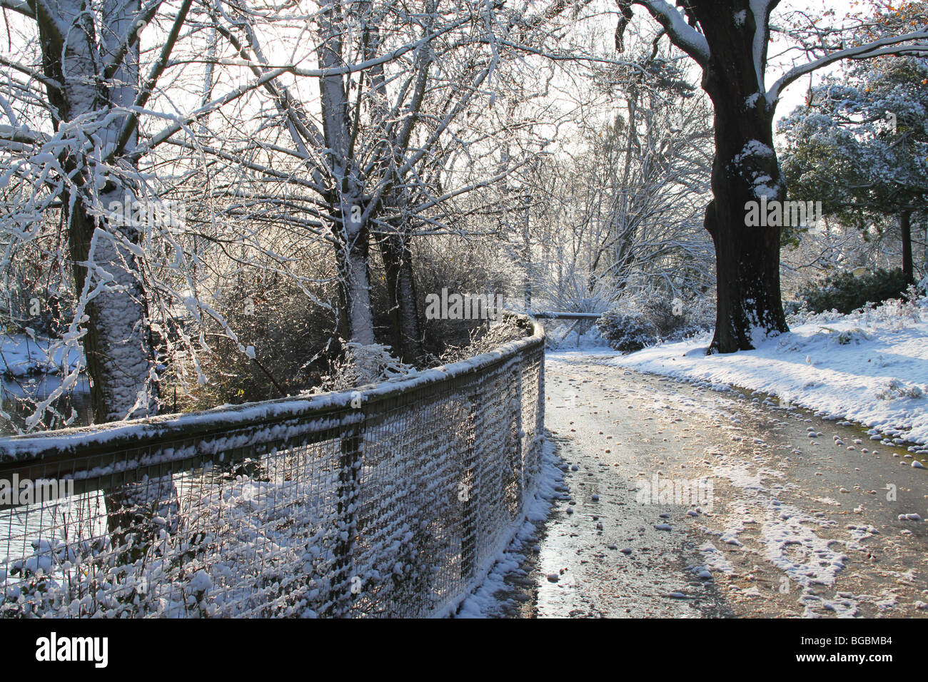 Snow trees path sun hi-res stock photography and images - Alamy