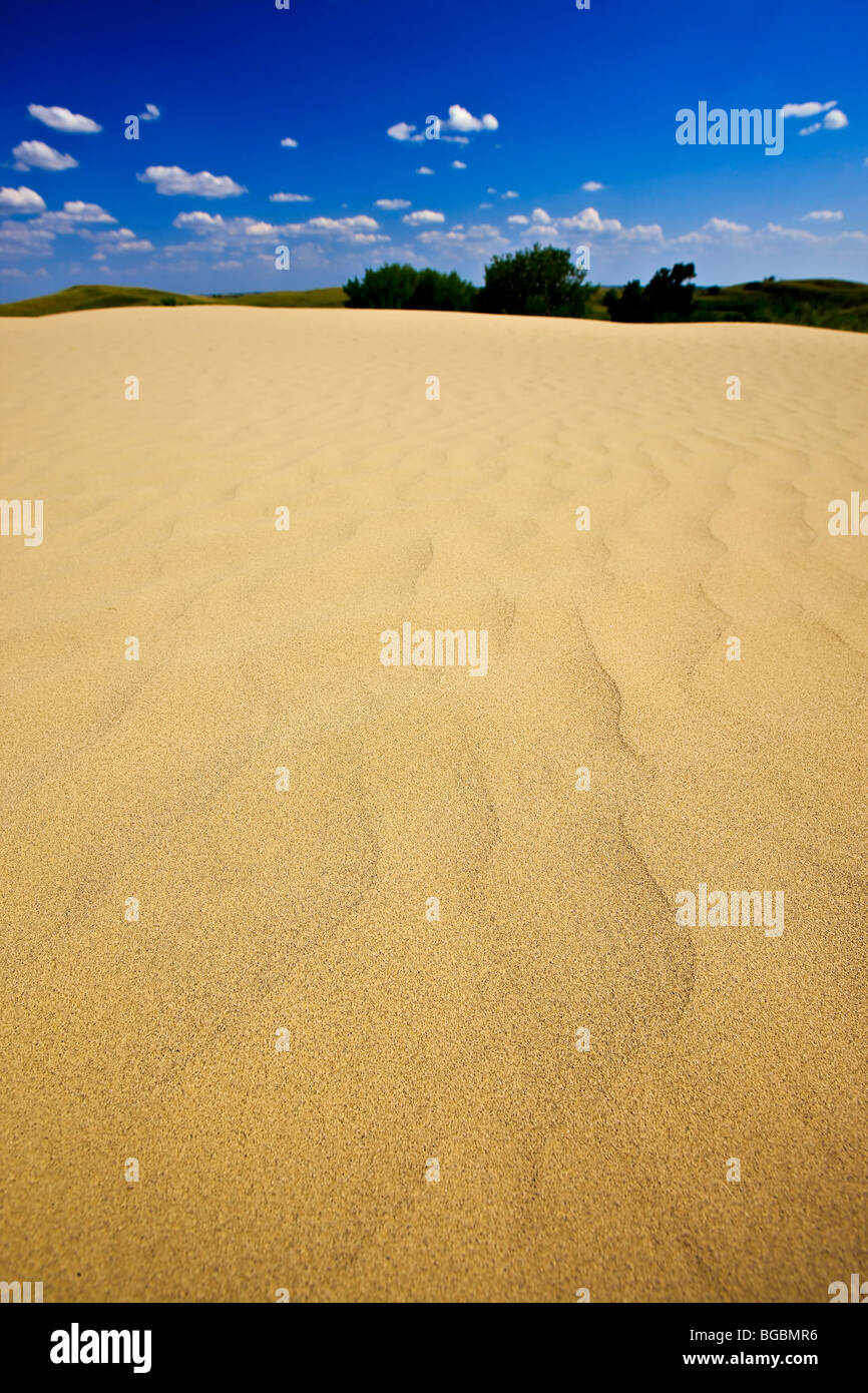 Great sand hills saskatchewan hi-res stock photography and images - Alamy