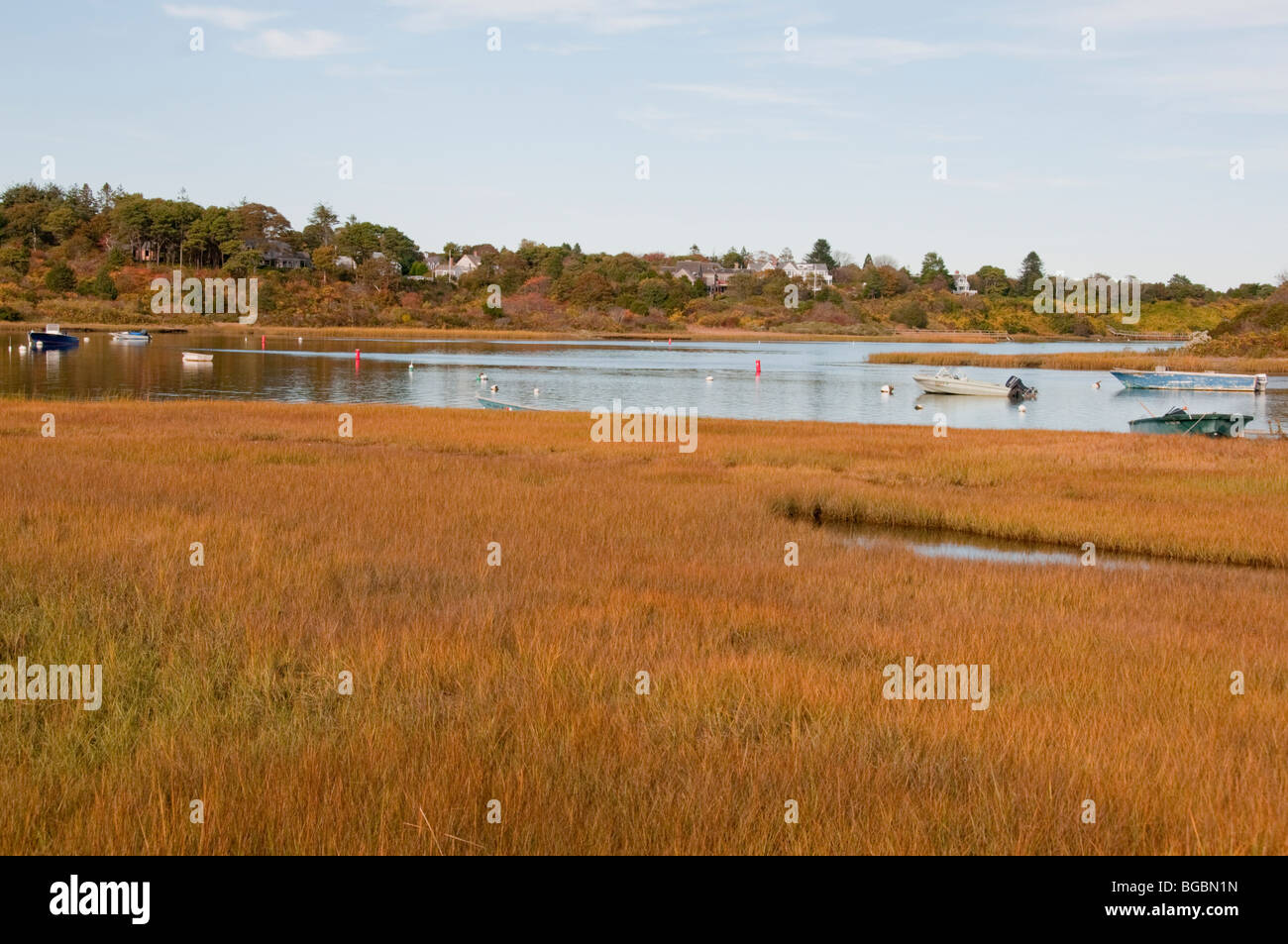 Reed Beds,Popular Bird watching Areas,Cape Cod, Massachusetts,New ...