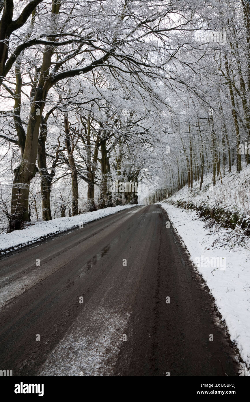 Scottish winter trees hi-res stock photography and images - Alamy