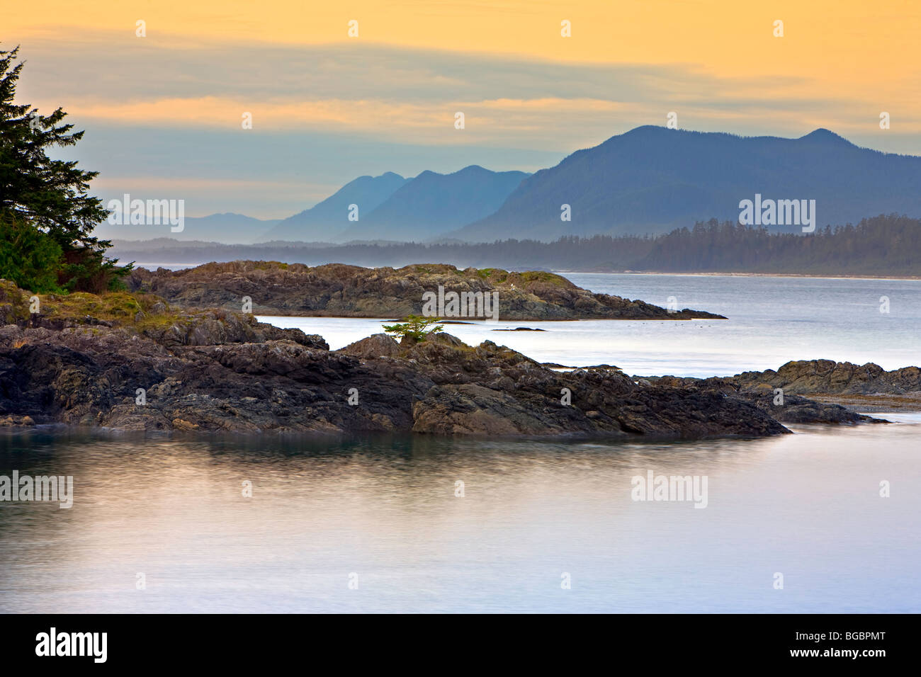 Ocean rim national park reserve hi-res stock photography and images - Alamy