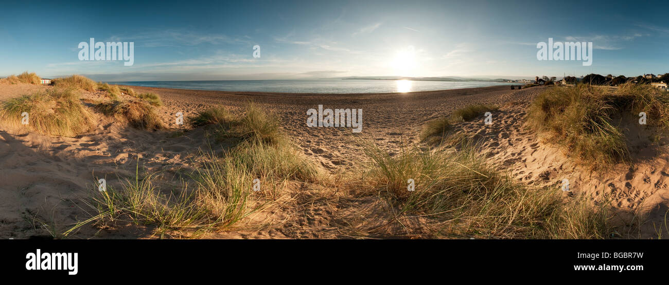 Dunes beach exmouth hi-res stock photography and images - Alamy