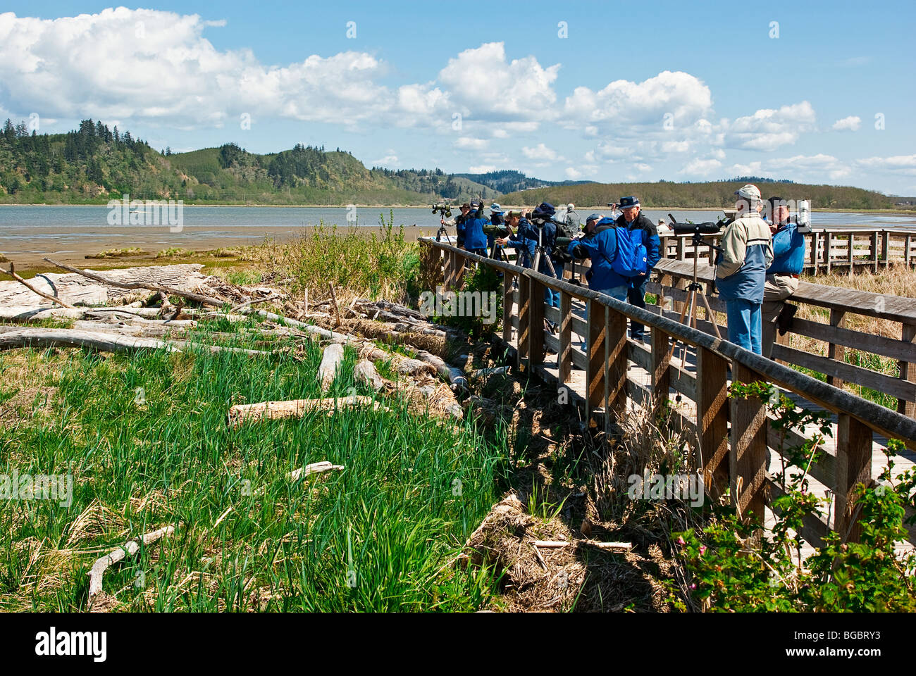 Grays harbor estuary hi-res stock photography and images - Alamy