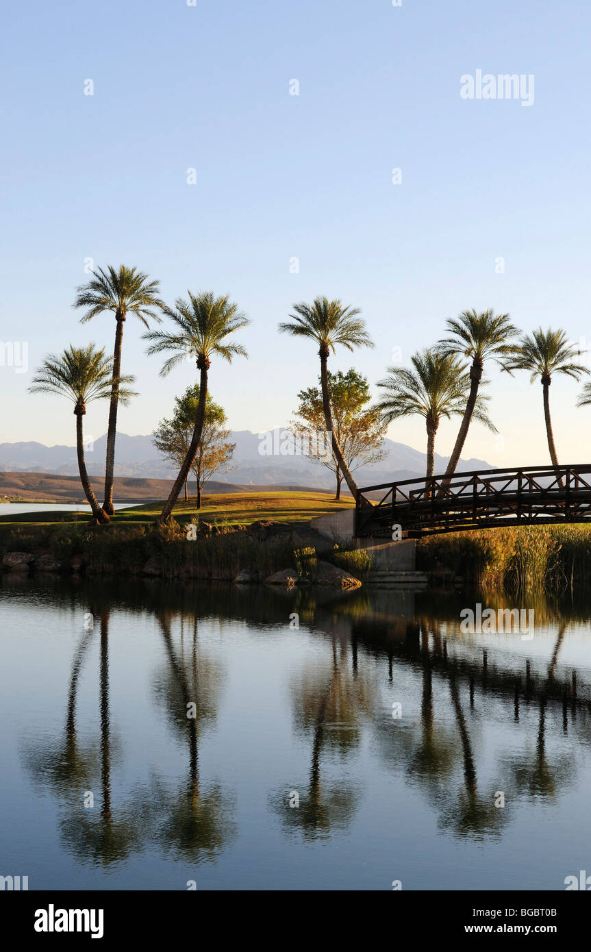 Loew's Lake Resort, Las Vegas, Nevada, USA Stock Photo - Alamy