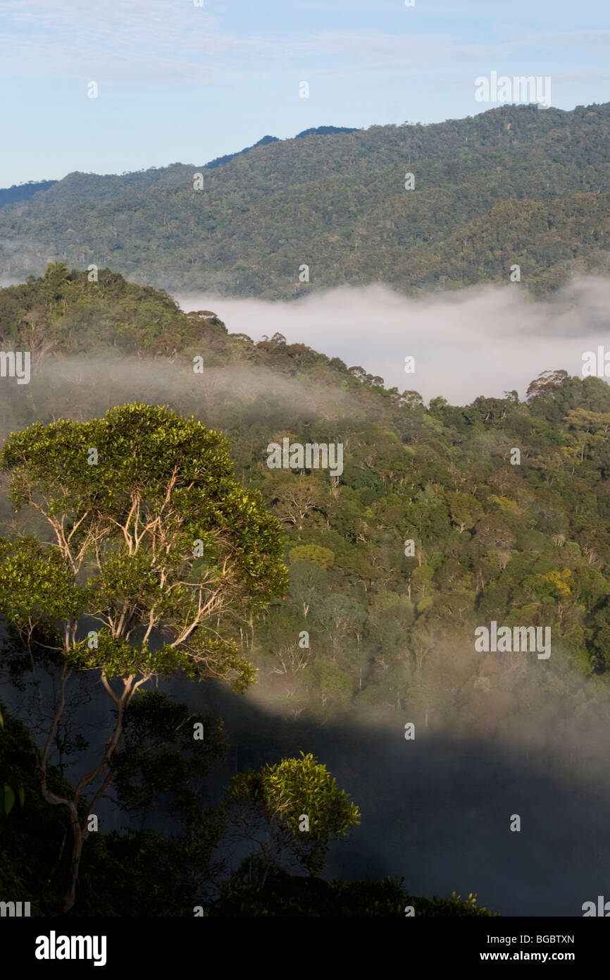 The ridges of Mount Murud the highest mountain in Sarawak in Borneo ...