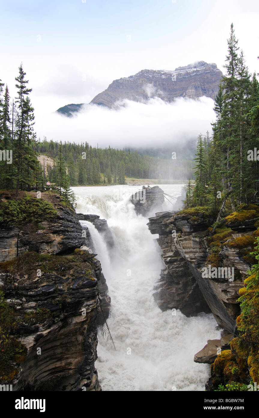 Mistaya fluss hi-res stock photography and images - Alamy