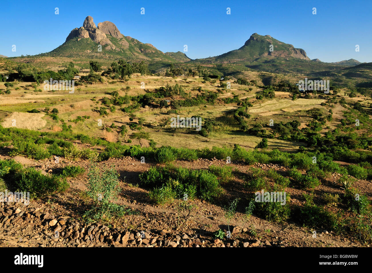 Terraced fields in the Adua, Adwa Mountains in Tigray, Ethiopia, Africa ...