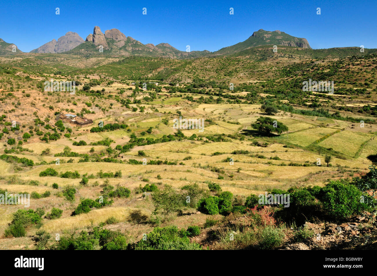 Adwa hi-res stock photography and images - Alamy