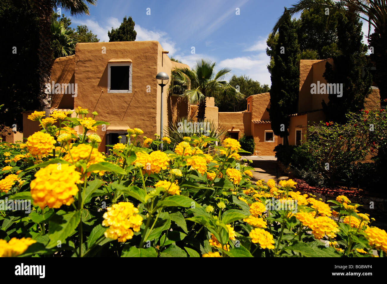 Es Cana or Es Canar, Punta Arabi, Ibiza, Pine Islands, Balearic Islands ...