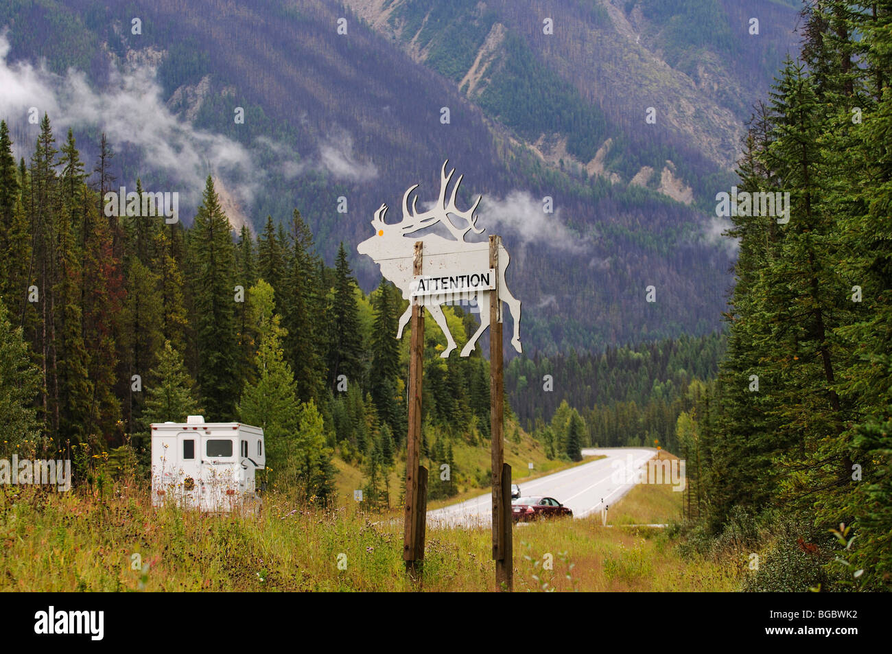 Warning sign, deer, Trans Canada Highway, Revelstoke, British Columbia ...