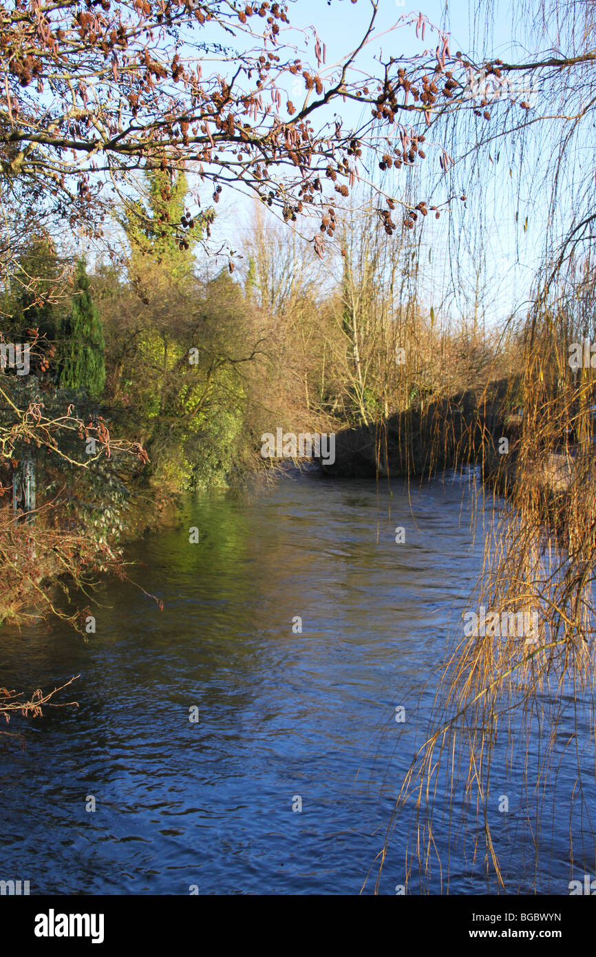 The river Itchen, Winchester, Hampshire Stock Photo - Alamy