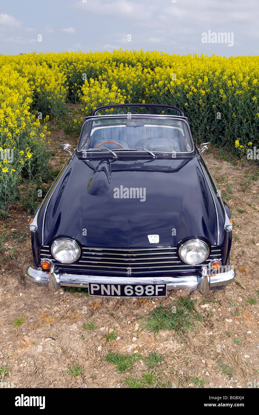 Triumph tr5 classic british car hi-res stock photography and images - Alamy