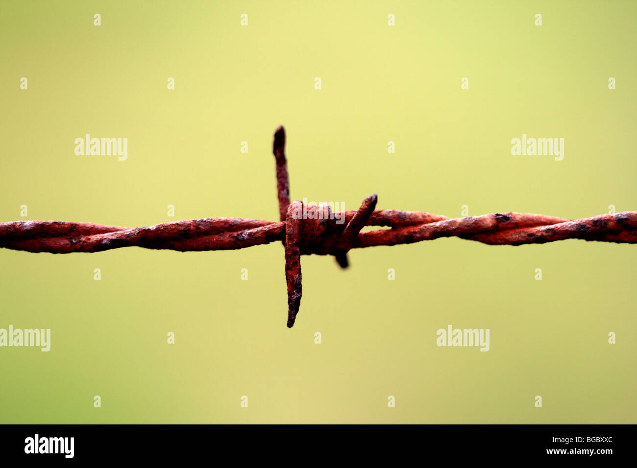 Rusty Barbed Wire Stock Photo - Alamy