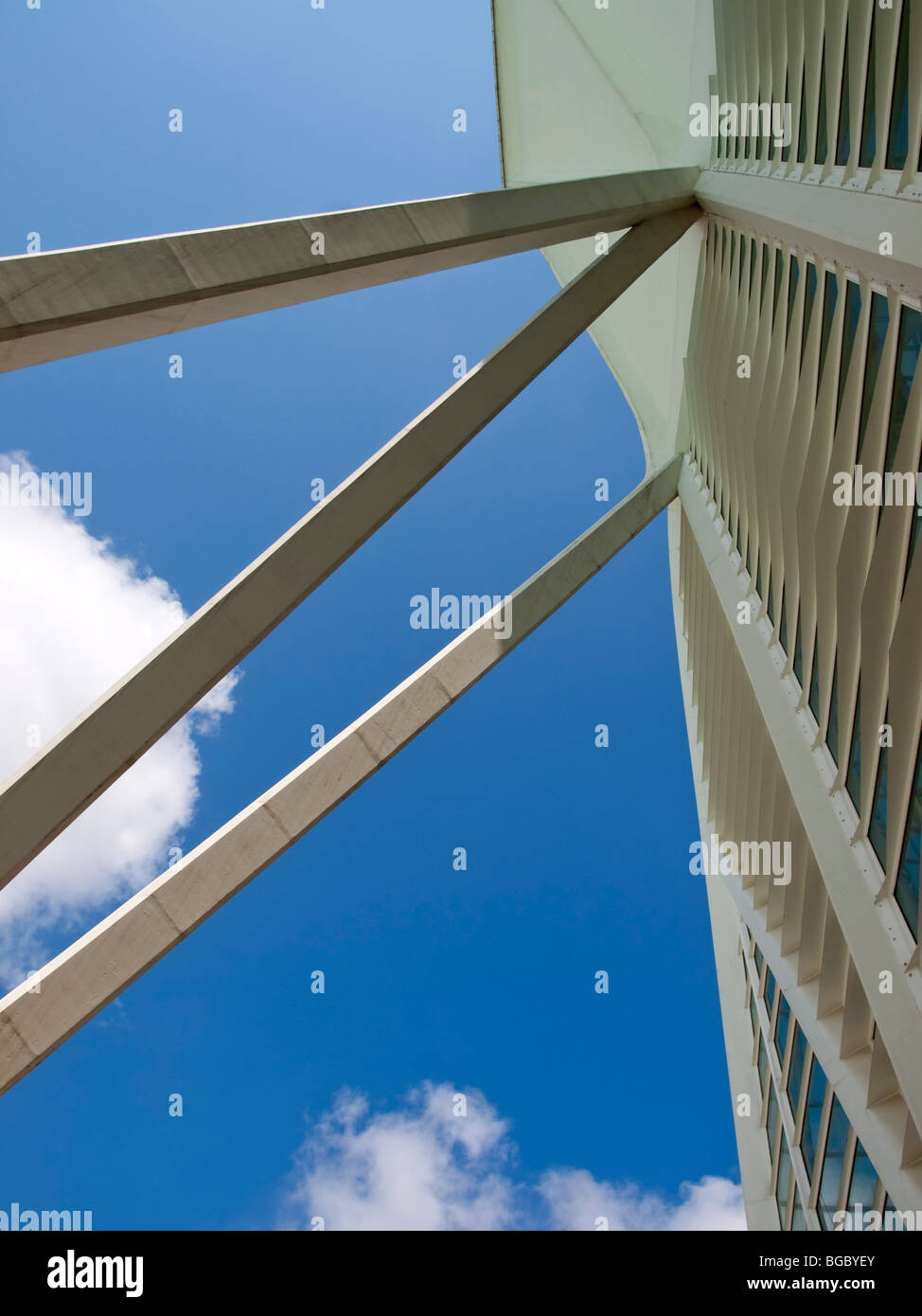Detail of the Príncipe Felipe Science Museum, designed by Santiago ...