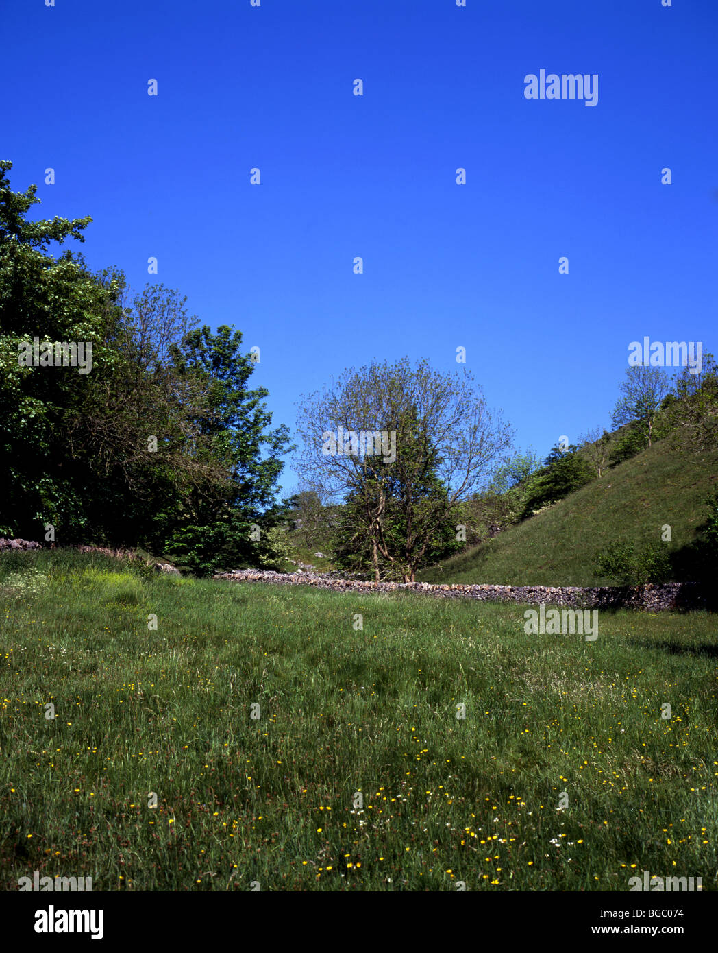 Lathkill Dale Derbyshire England Stock Photo - Alamy