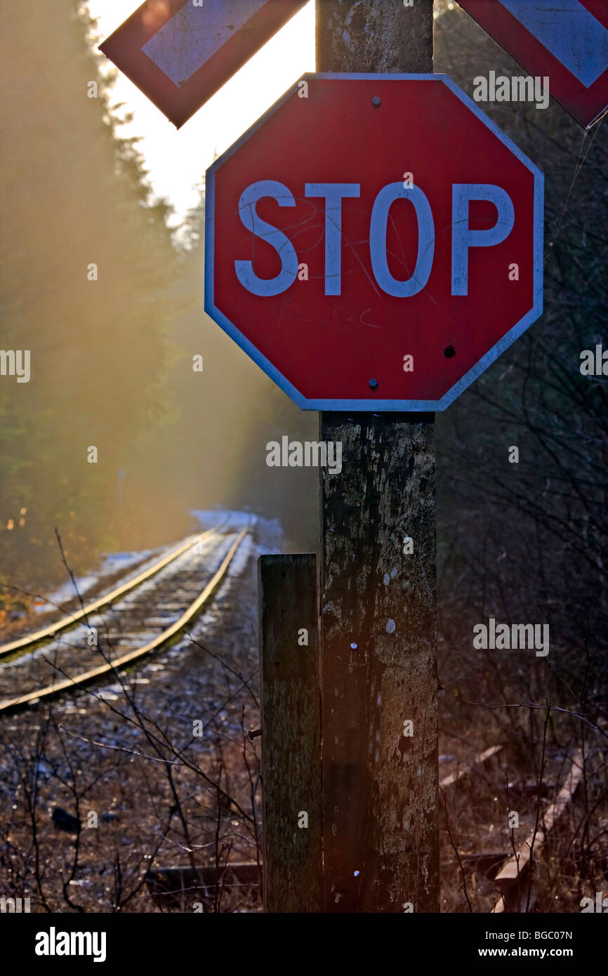 Sun behind a railway crossing sign and a stop sign with light fog ...