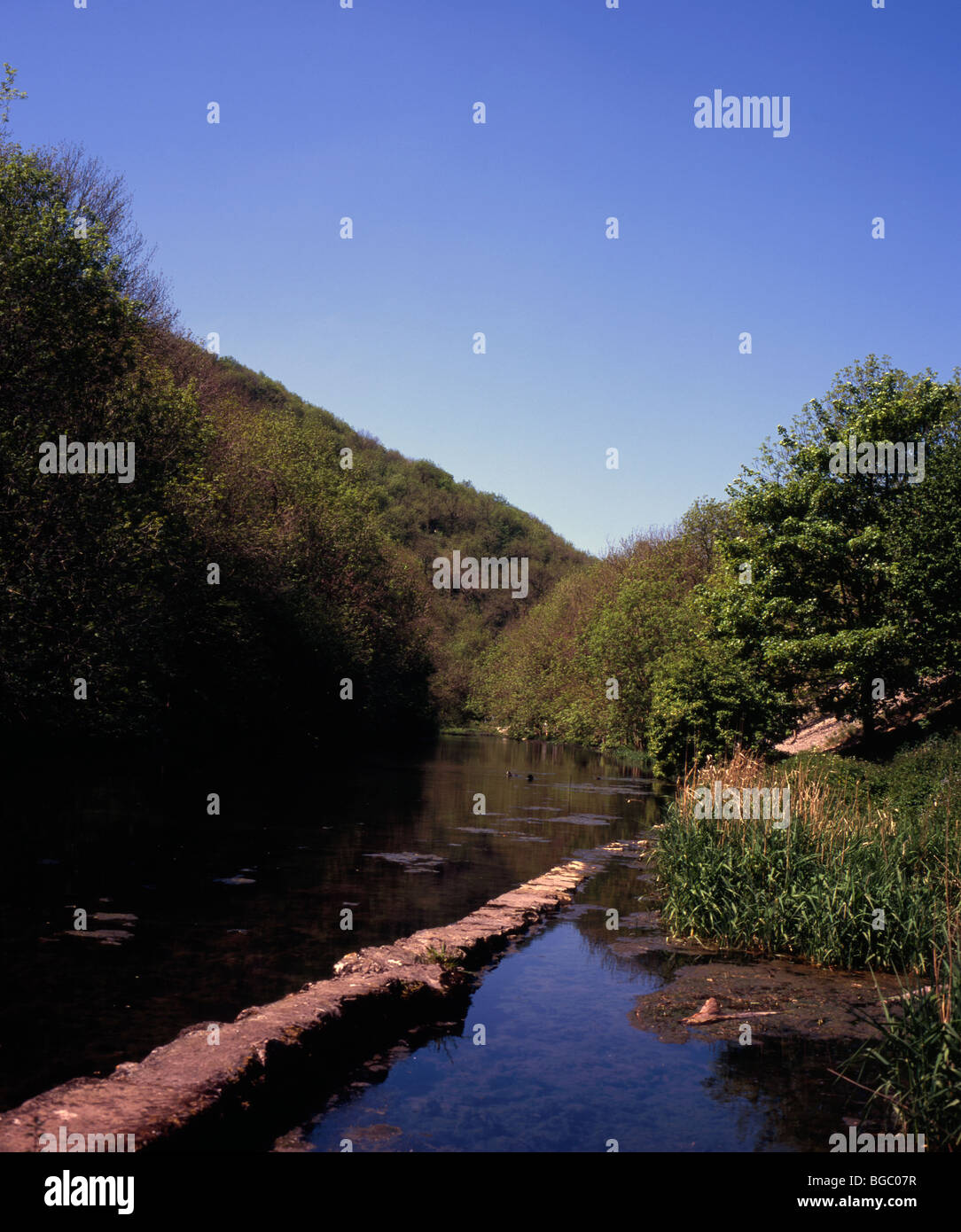 The River Lathkill Lathkill Dale Derbyshire England Stock Photo - Alamy