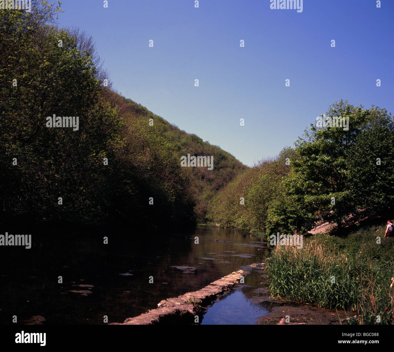 The River Lathkill Lathkill Dale Derbyshire England Stock Photo - Alamy