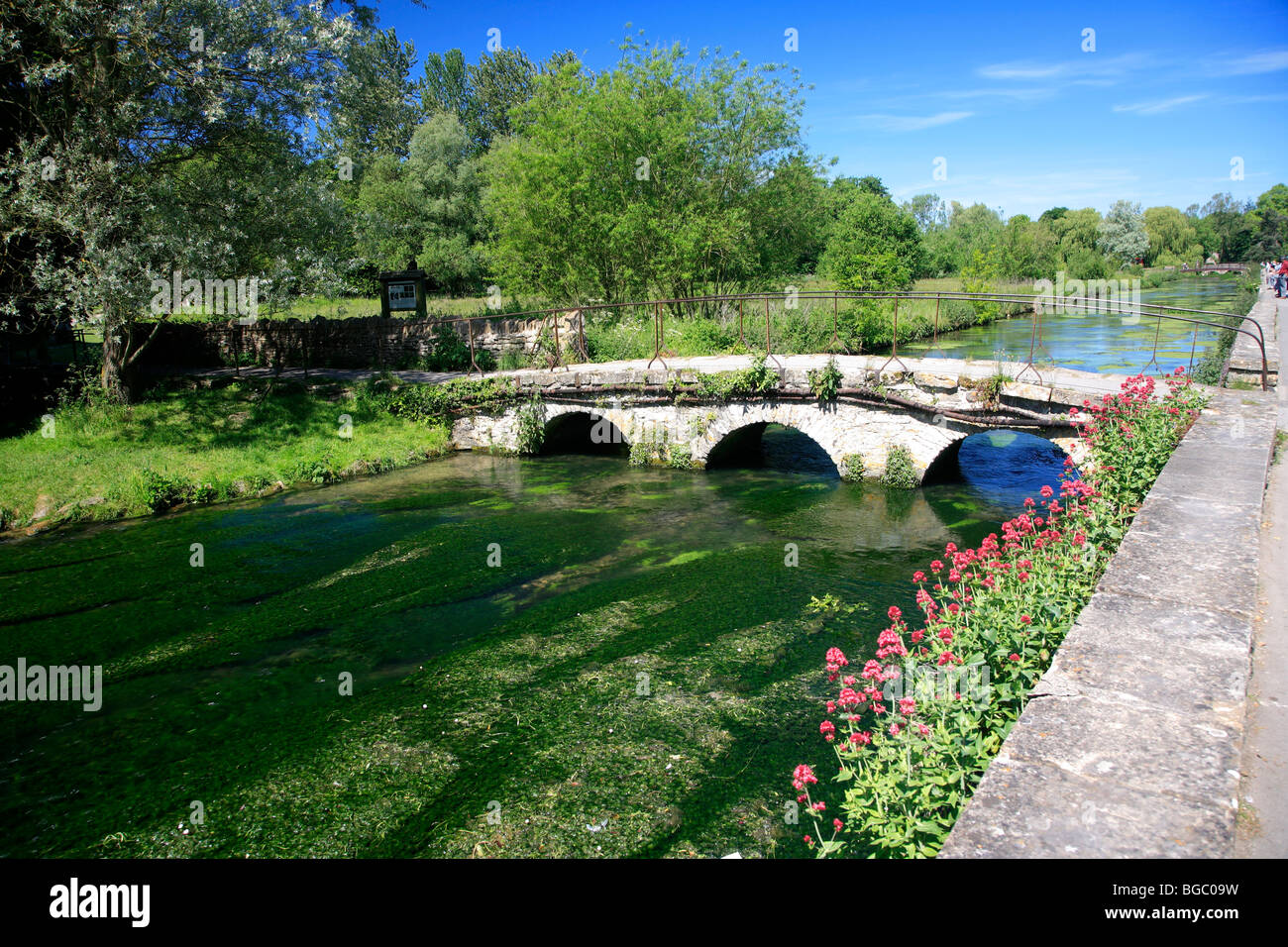 River Coln Bibury village Gloucestershire Cotswolds England UK Stock ...