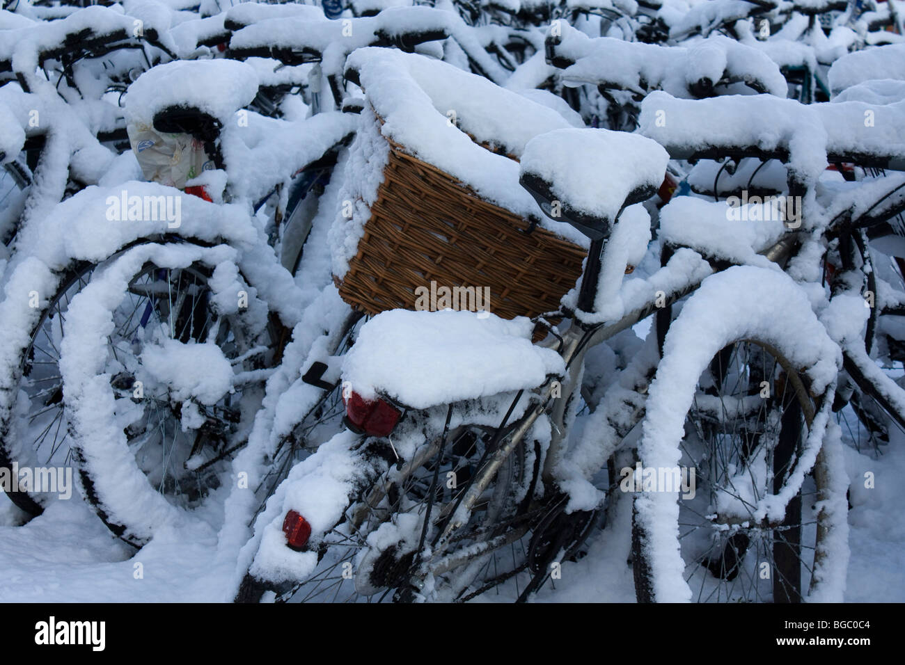 snow on ground Stock Photo - Alamy