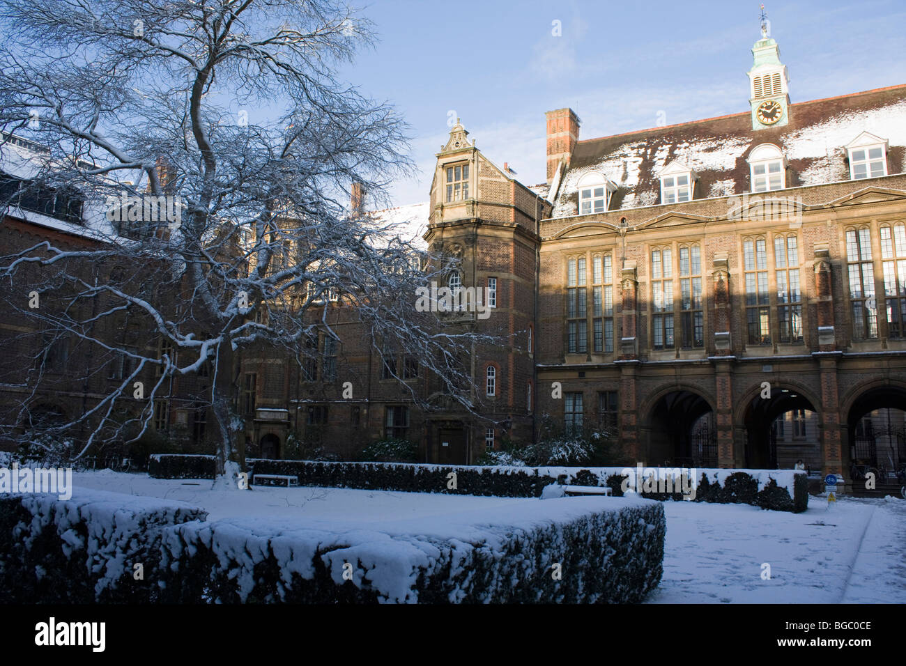 snow on ground Stock Photo - Alamy