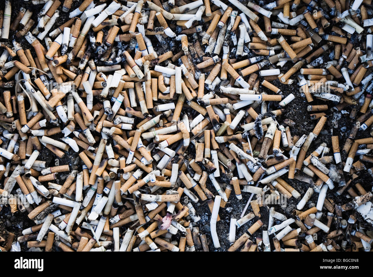 Closeup view of hundreds of discarded cigarette butts Stock Photo - Alamy