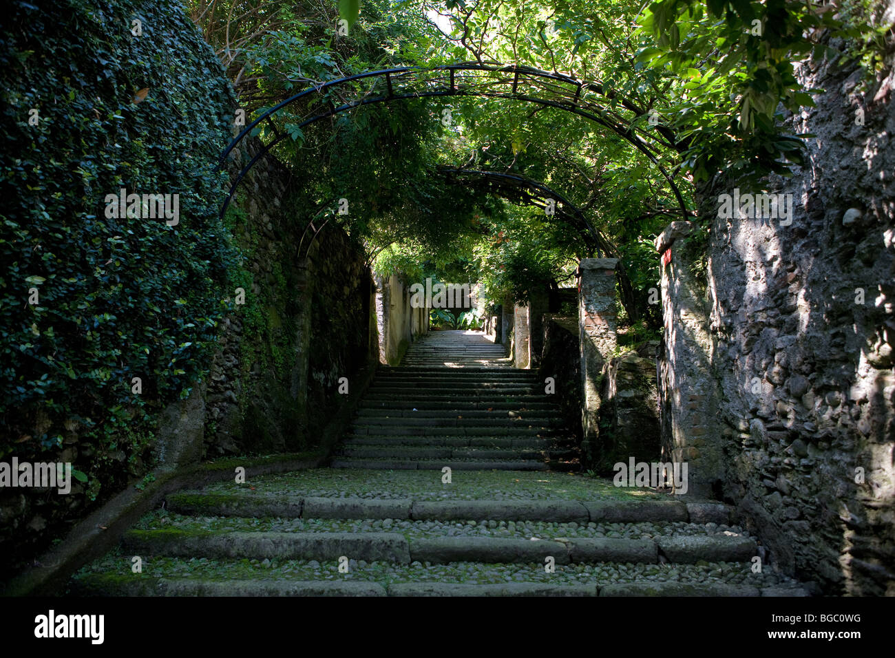 Europe, Italy, Piemonte, Maggiore Lake, Madre island, house, flowers ...