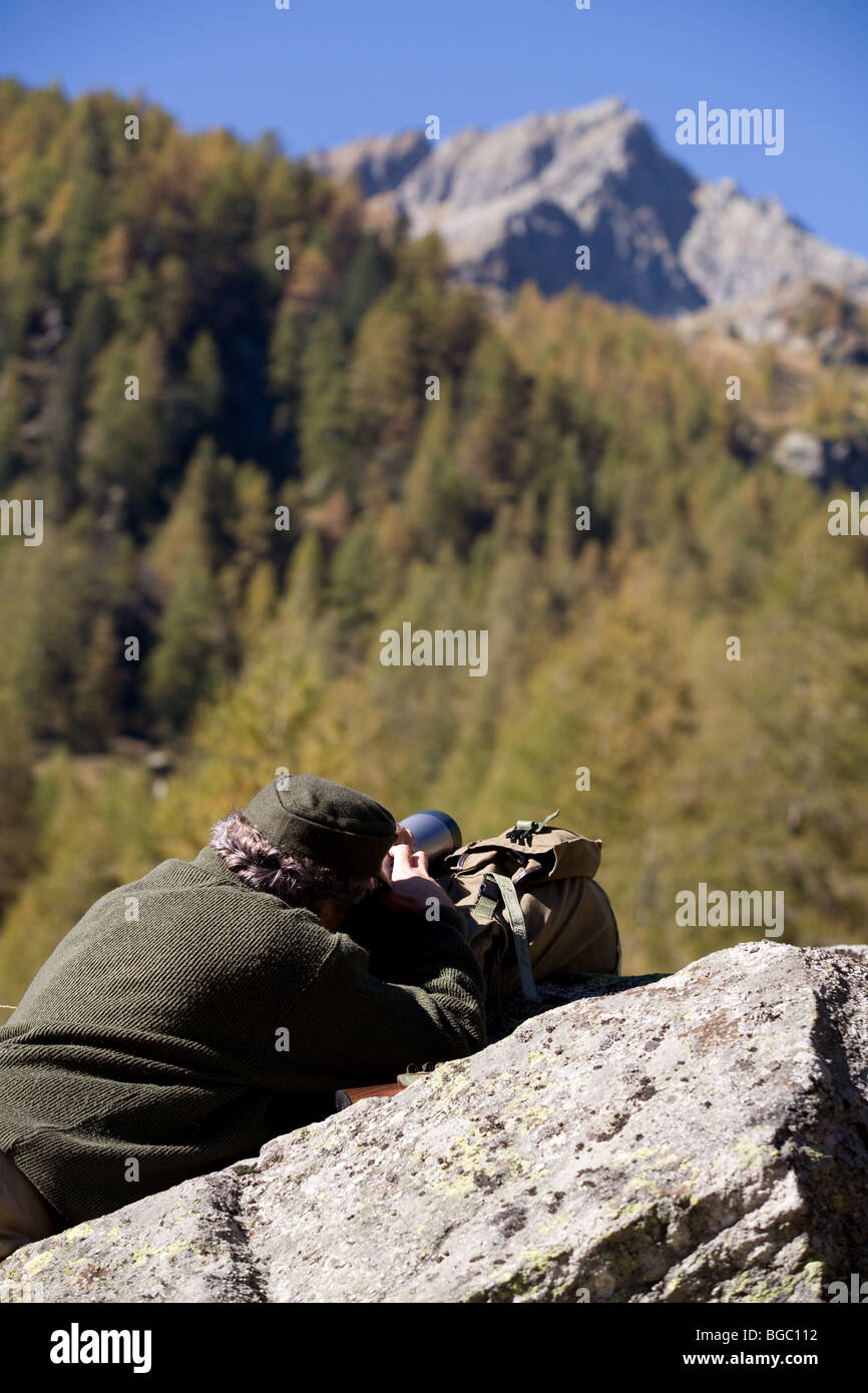 Europe, Italy, Piemonte, Alpi, Valsesia, sing hunting, forest ...